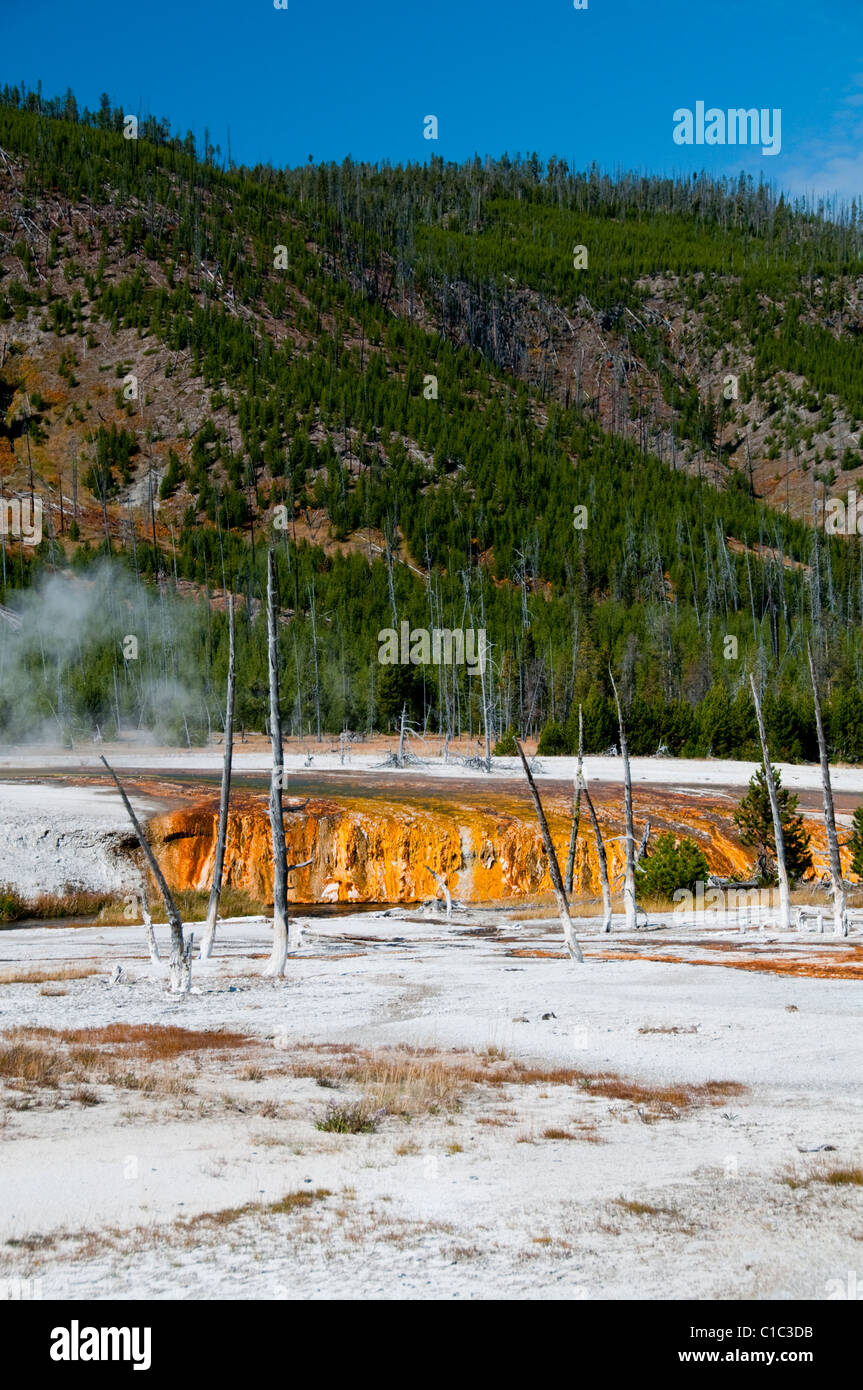 Upper Geyser Basin,Geysers,Sulphurous,Mudpots,Pools,Fumaroles ...