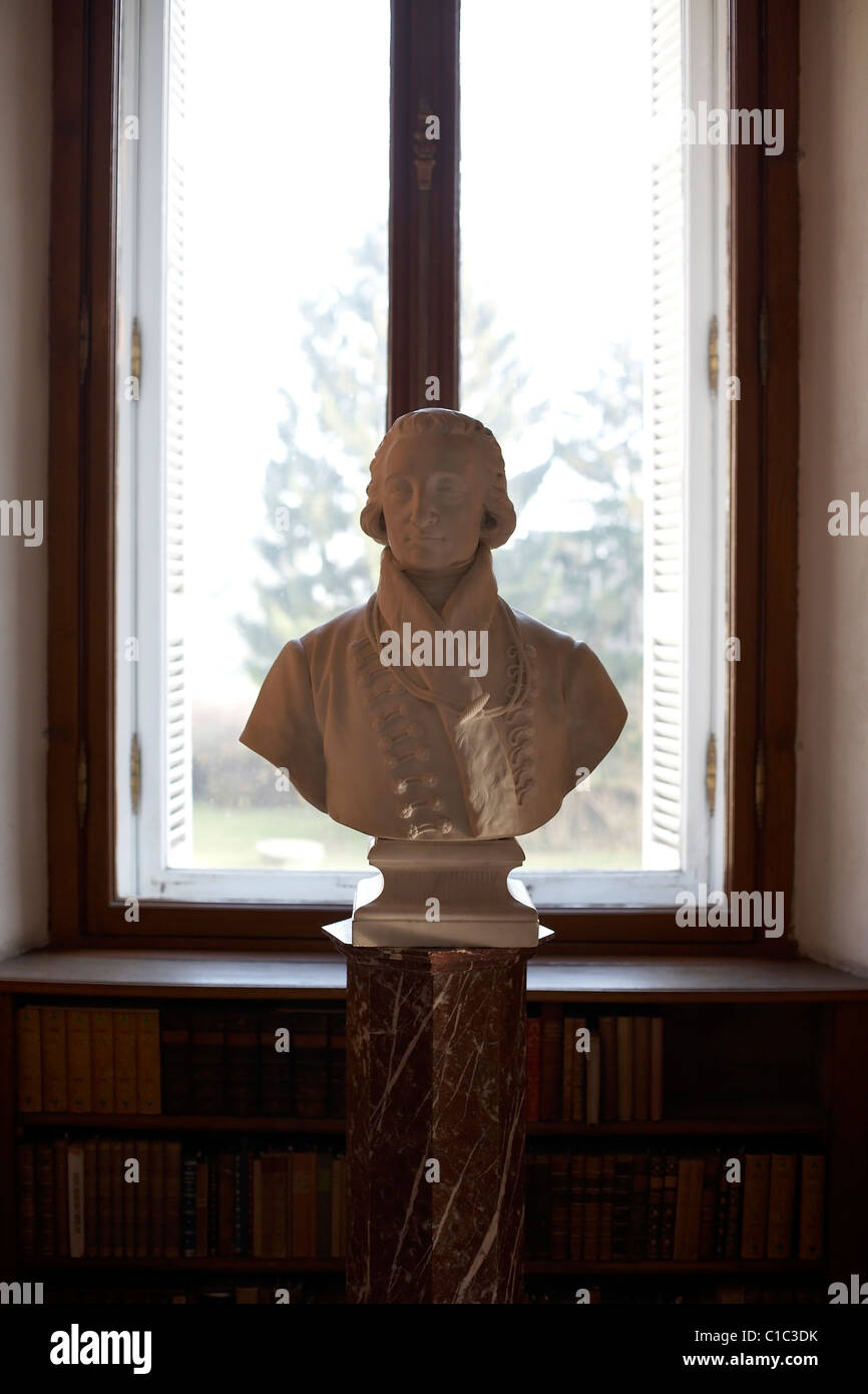 bust in old private library Stock Photo - Alamy