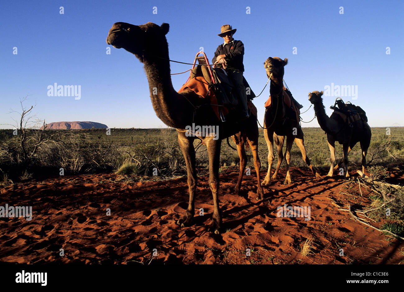 Australia, Northern Territory, Alice Springs Stock Photo - Alamy