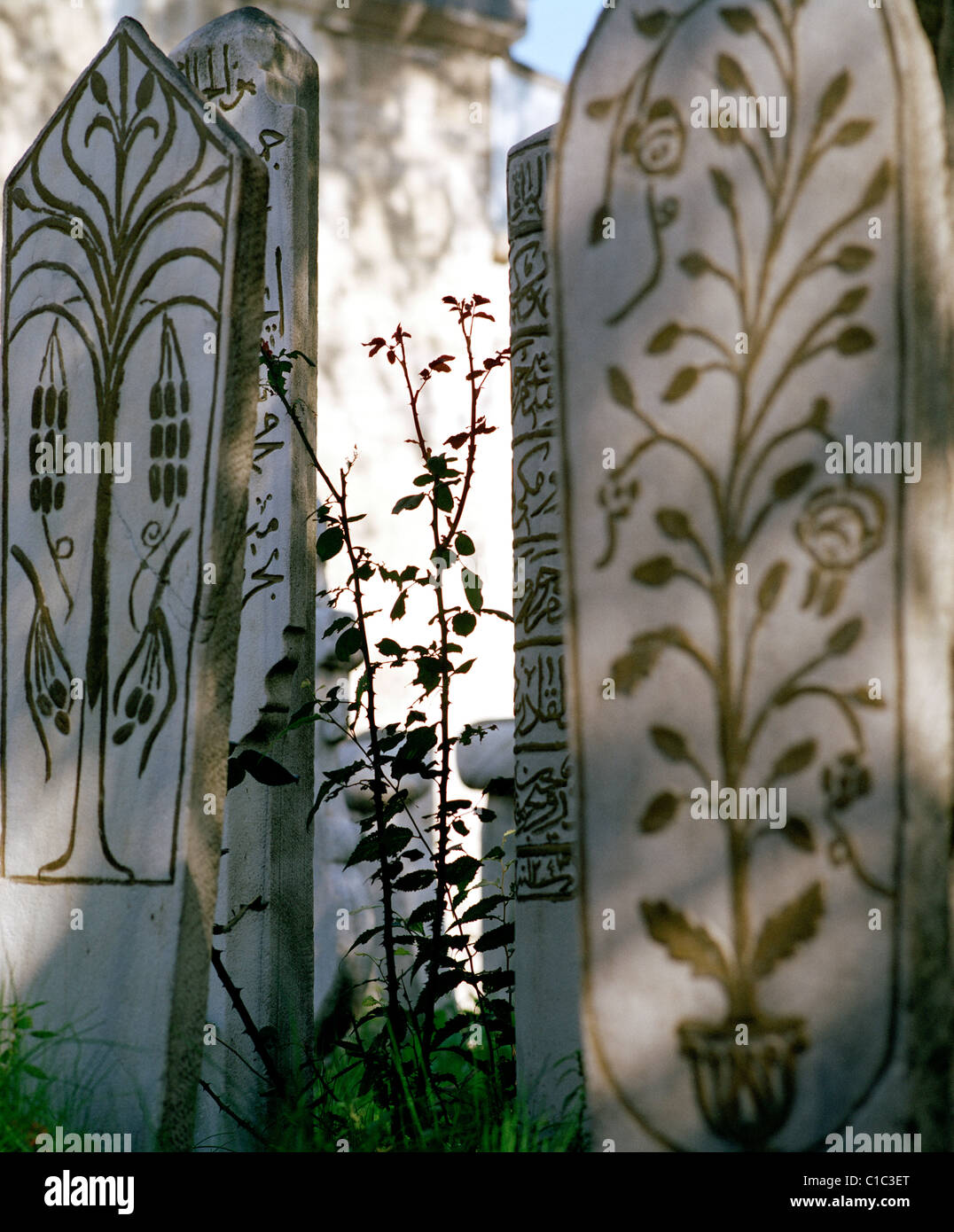 Muslim Islamic cemetery at Eyup Mosque at Golden Horn in Istanbul in ...