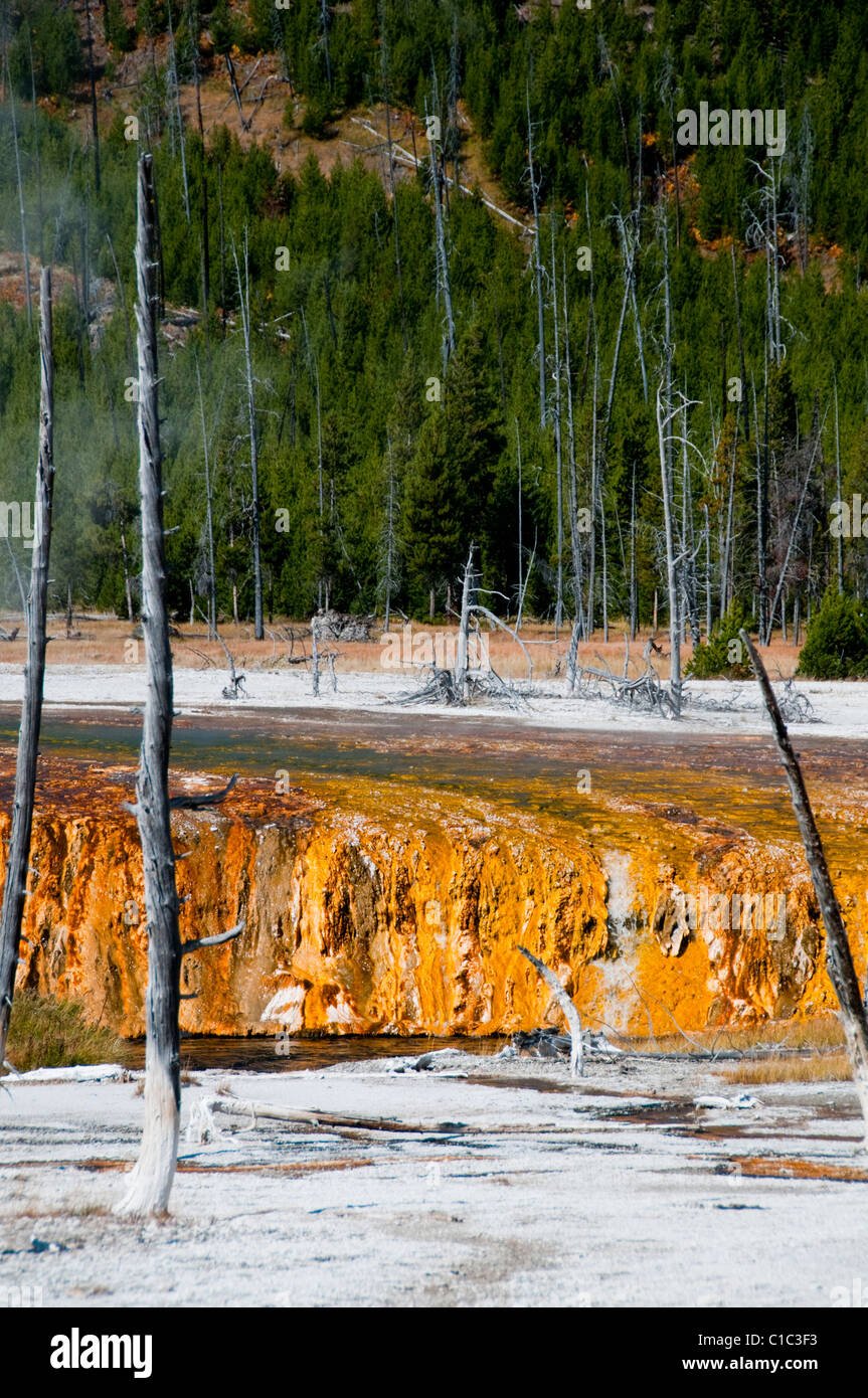 Upper Geyser Basin,Geysers,Sulphurous,Mudpots,Pools,Fumaroles ...