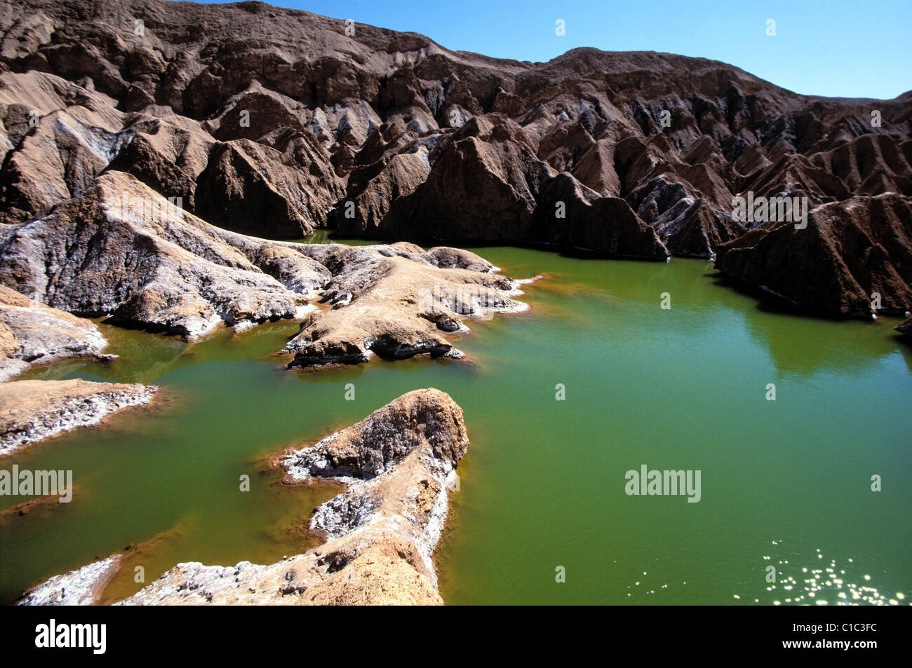 Chile, the Atacama desert, lagoon in the Salt Cordillera, surroundings ...