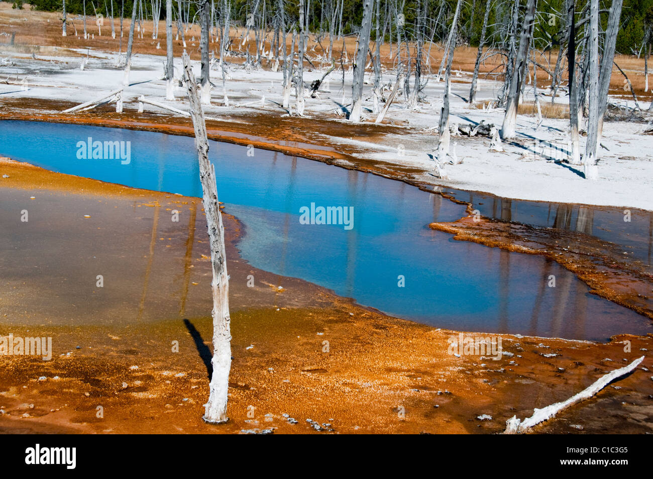 Opalescent Pool,Upper Geyser basin,Geysers, Sulphurous, Mudpots, Pools ...