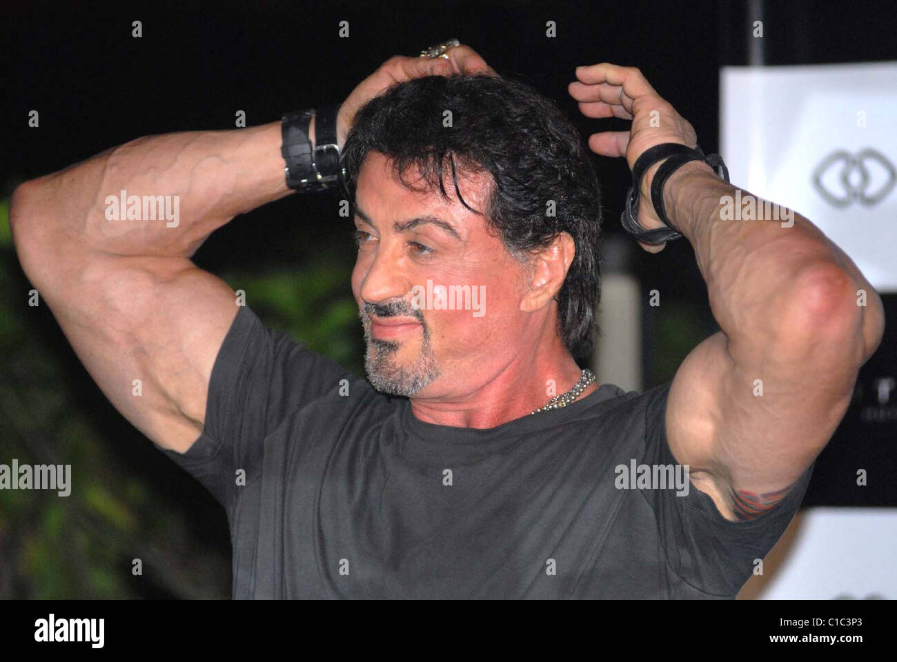 Sylvester Stallone Expendables