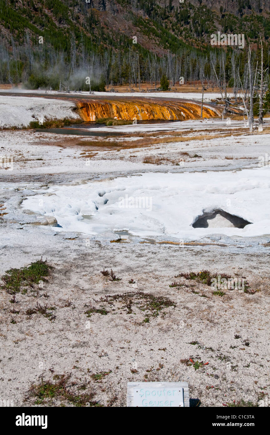Upper Geyser Basin,Geysers,Autumn Leaves, Sulphurous, Mudpots, Pools ...