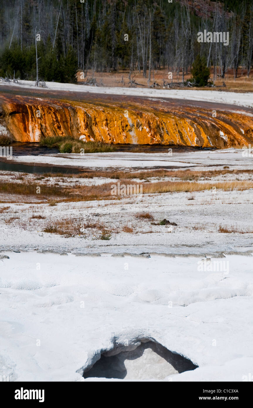 Upper Geyser Basin,Geysers,Autumn Leaves, Sulphurous, Mudpots, Pools ...