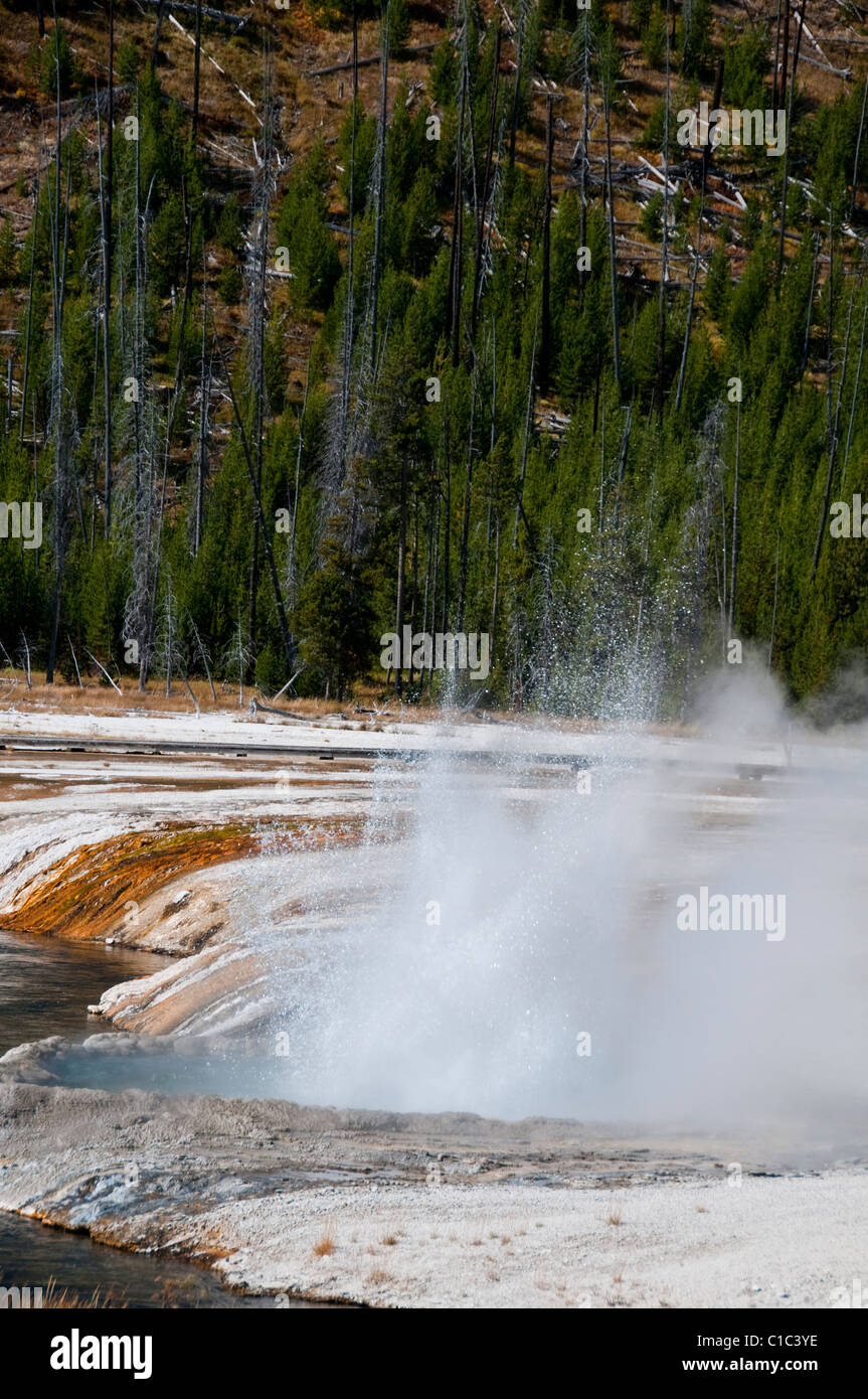 Upper Geyser Basin,Geysers,Autumn Leaves, Sulphurous, Mudpots, Pools ...