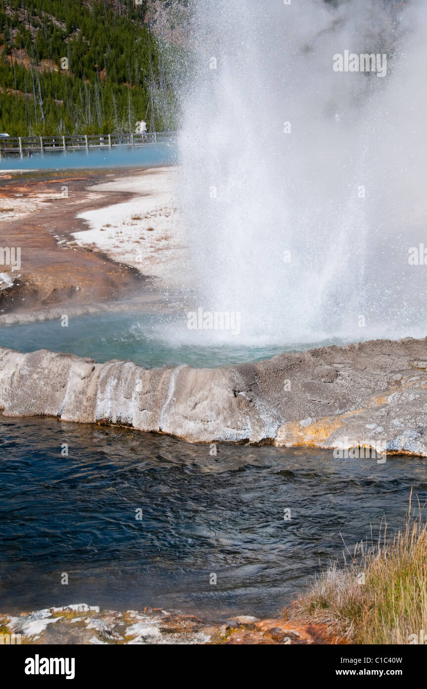 Upper Geyser Basin,Geysers,Autumn Leaves, Sulphurous, Mudpots, Pools ...