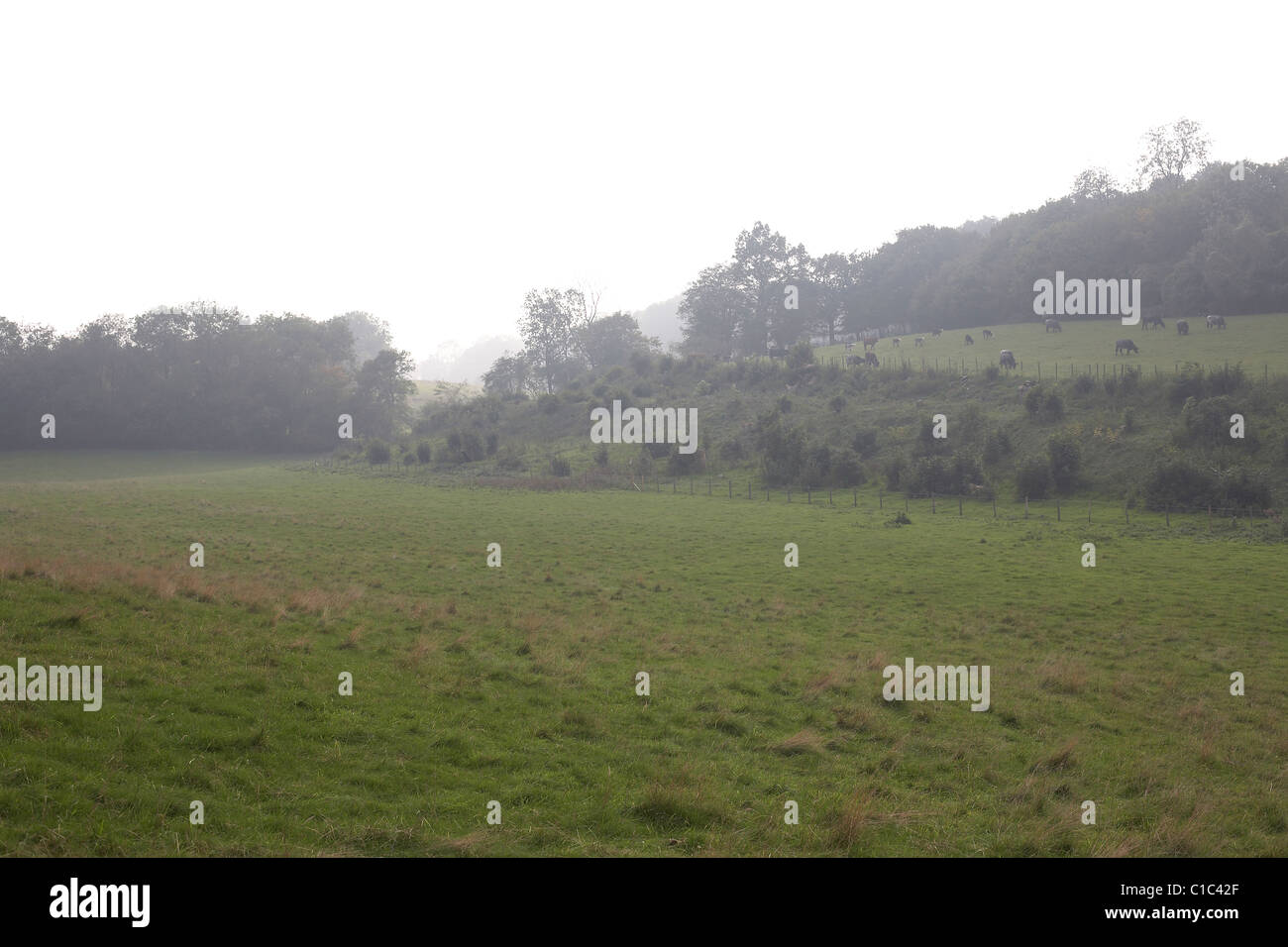 field small hill Stock Photo - Alamy