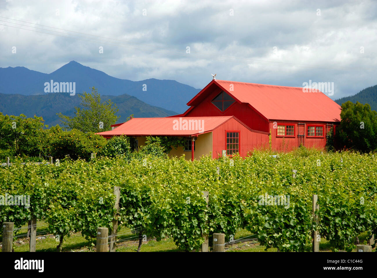 red barn in a vineyard Stock Photo - Alamy