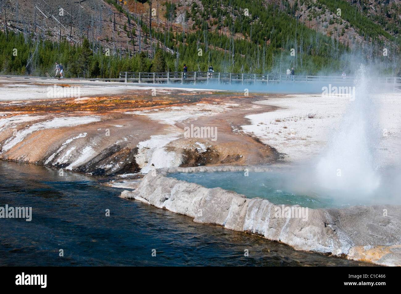 Upper Geyser Basin,Geysers,Autumn Leaves, Sulphurous,Mudpots, Pools ...