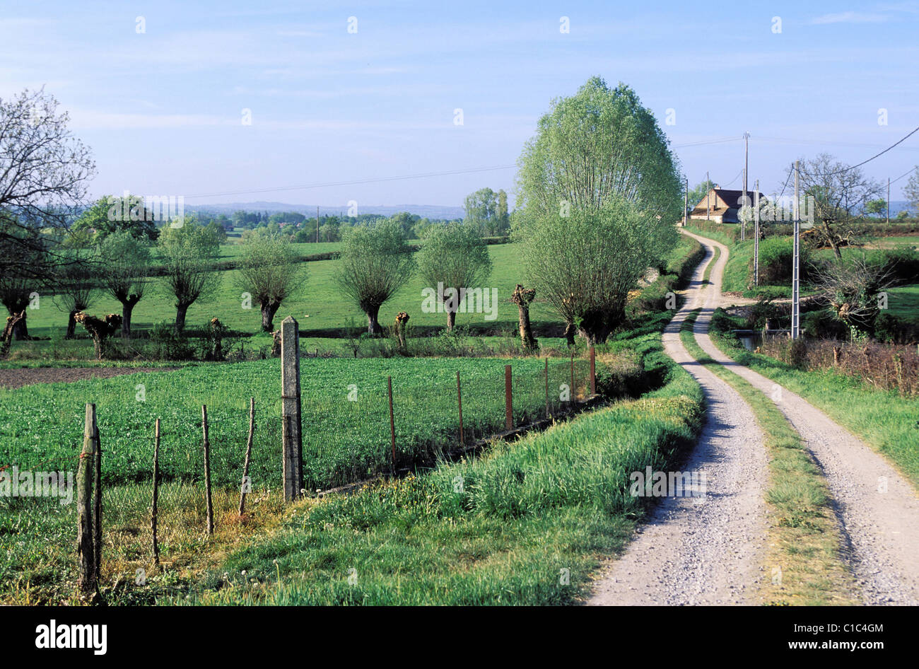 Autry hi-res stock photography and images - Alamy