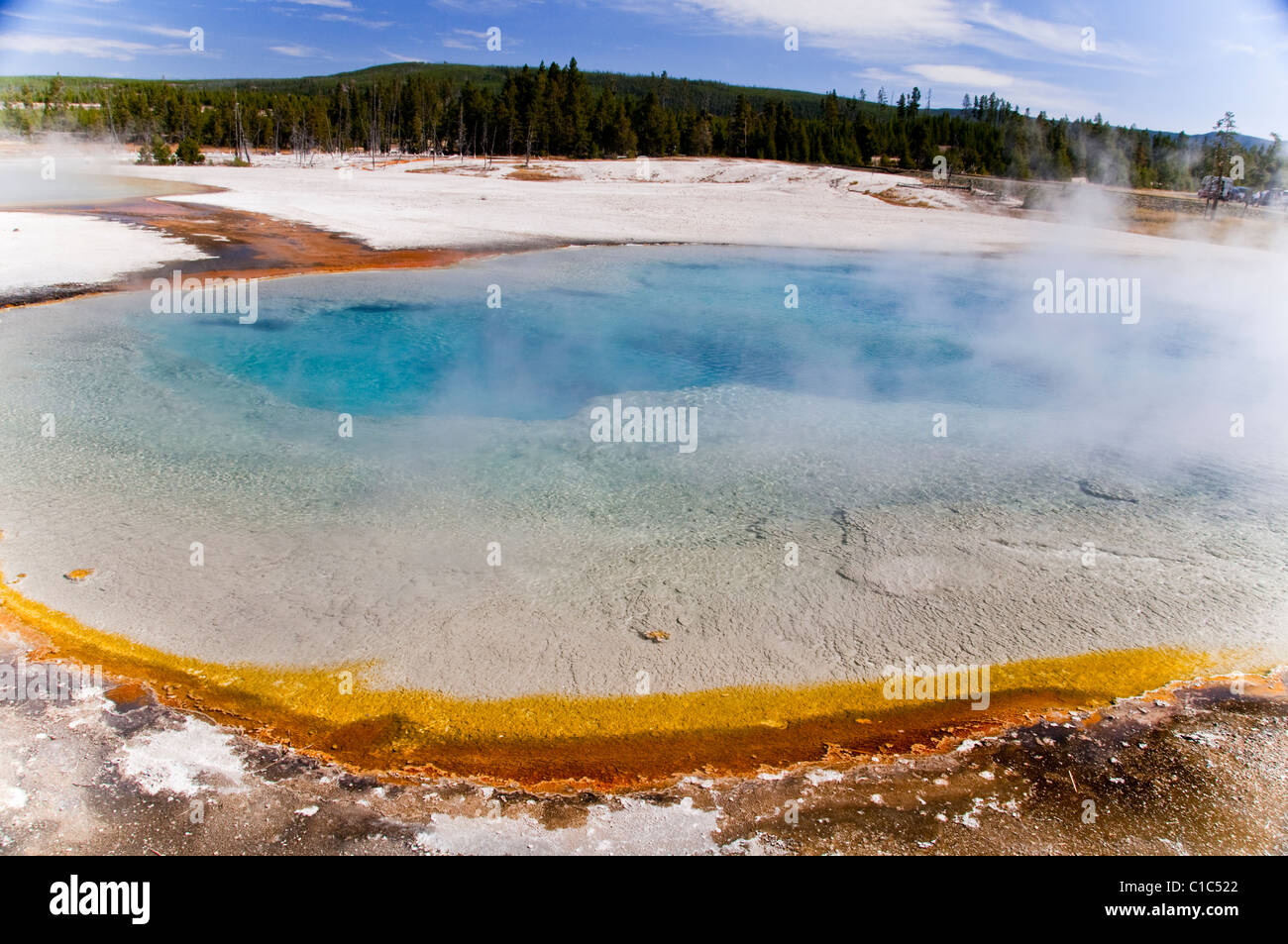 Upper Geyser Basin,Geysers,Autumn Leaves, Sulphurous, Mudpots, Pools ...