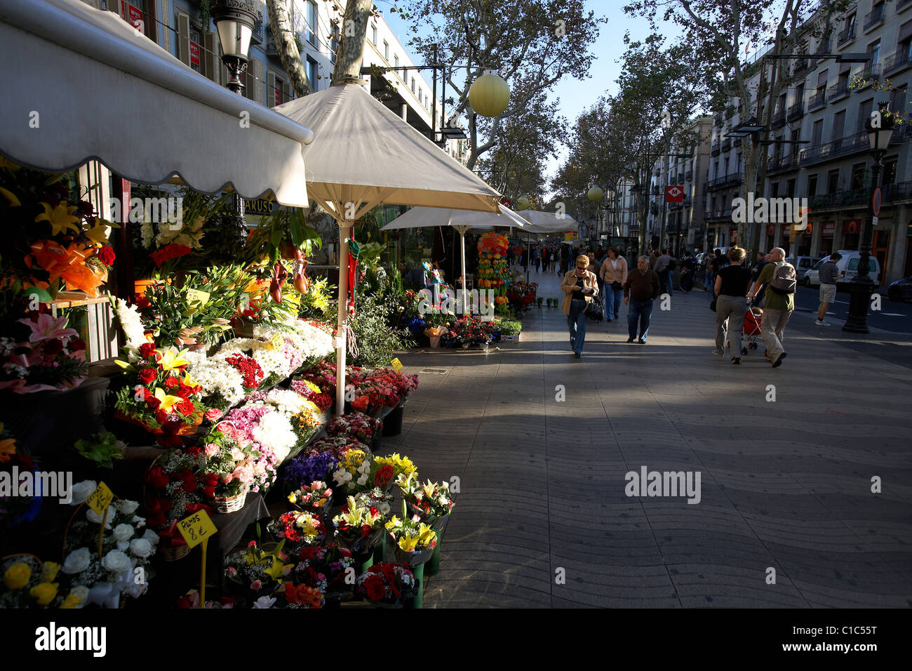 Ramblas of flowers hi-res stock photography and images - Alamy