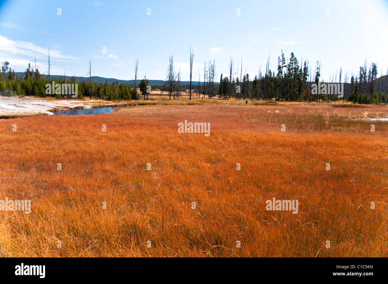 Upper Geyser Basin,Geysers,Autumn Leaves, Sulphurous, Mudpots, Pools ...