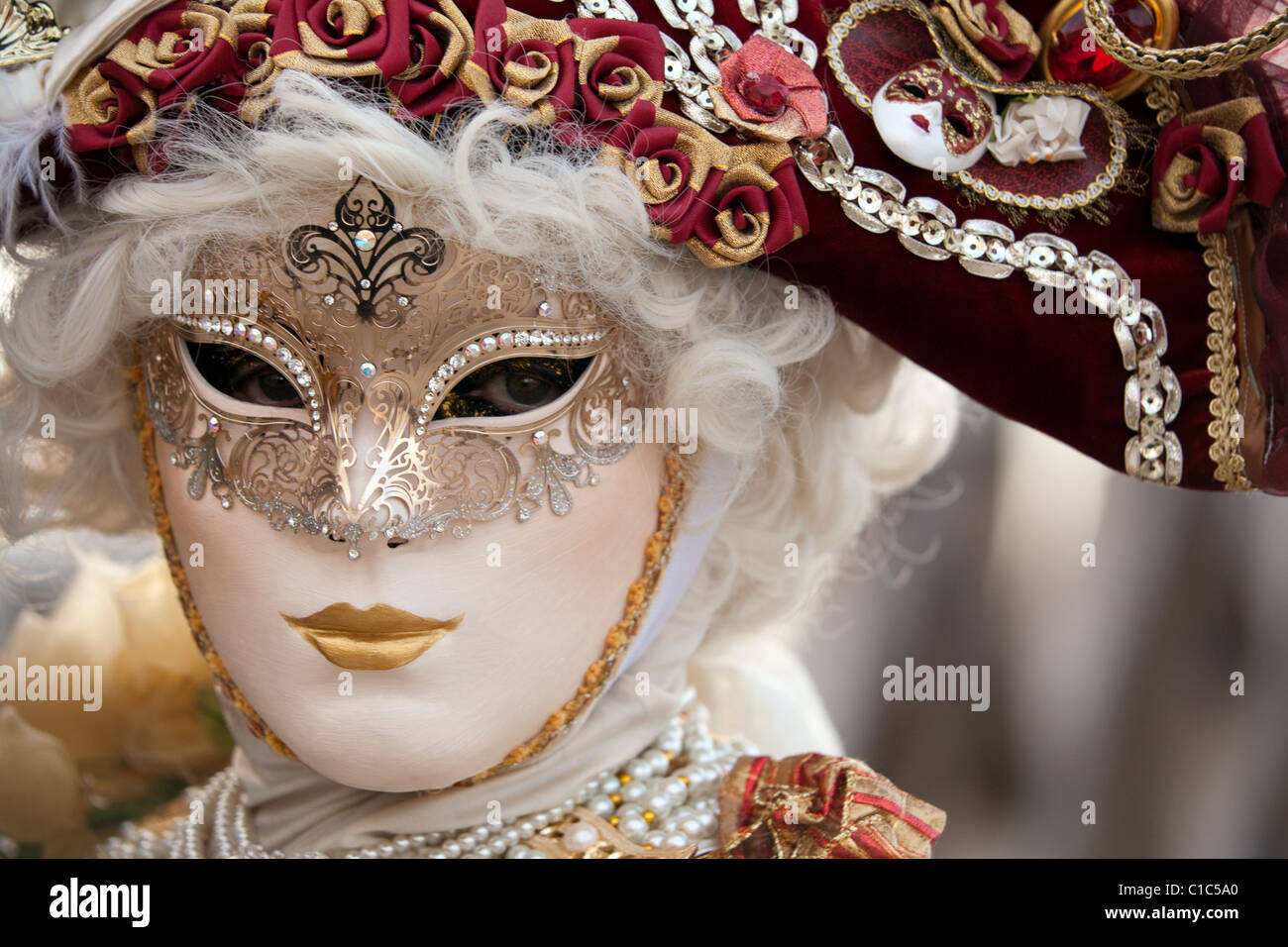 A costumed model posing at the Venice Carnival, Venice Italy Stock ...