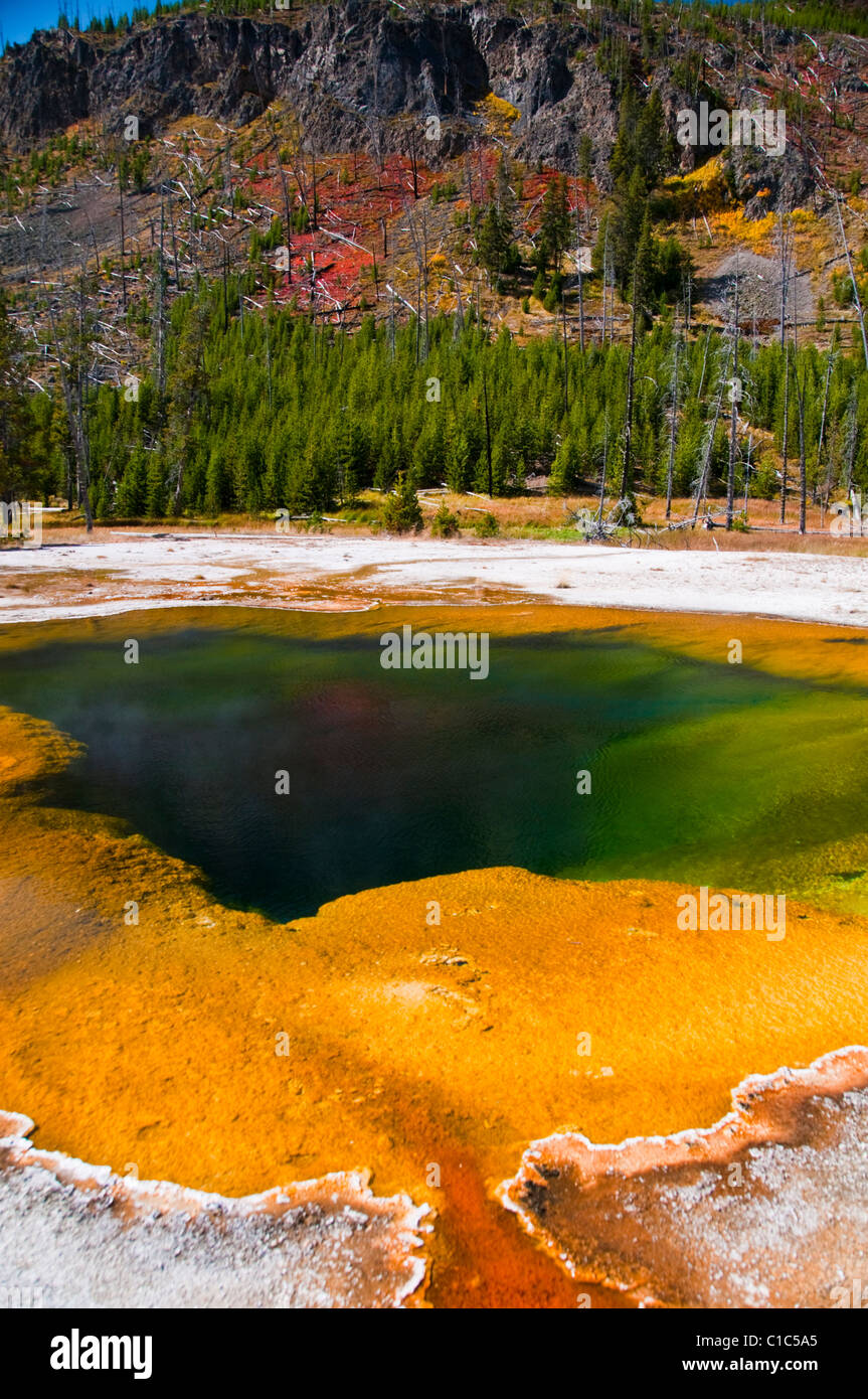 Upper Geyser Basin,Geysers,Autumn Leaves, Sulphurous, Mudpots, Pools ...