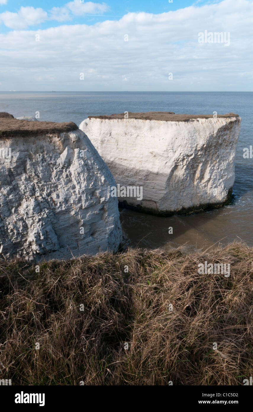 A chalk stack on the Kent coast at the North Foreland between Botany ...