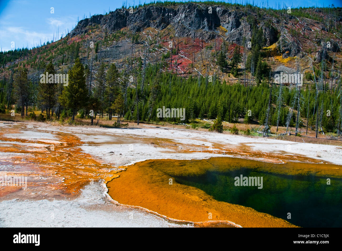 Upper Geyser Basin,Geysers,Autumn Leaves, Sulphurous, Mudpots, Pools ...