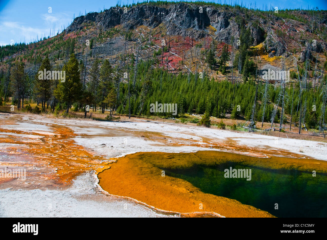 Upper Geyser Basin,Geysers,Autumn Leaves, Sulphurous, Mudpots, Pools ...