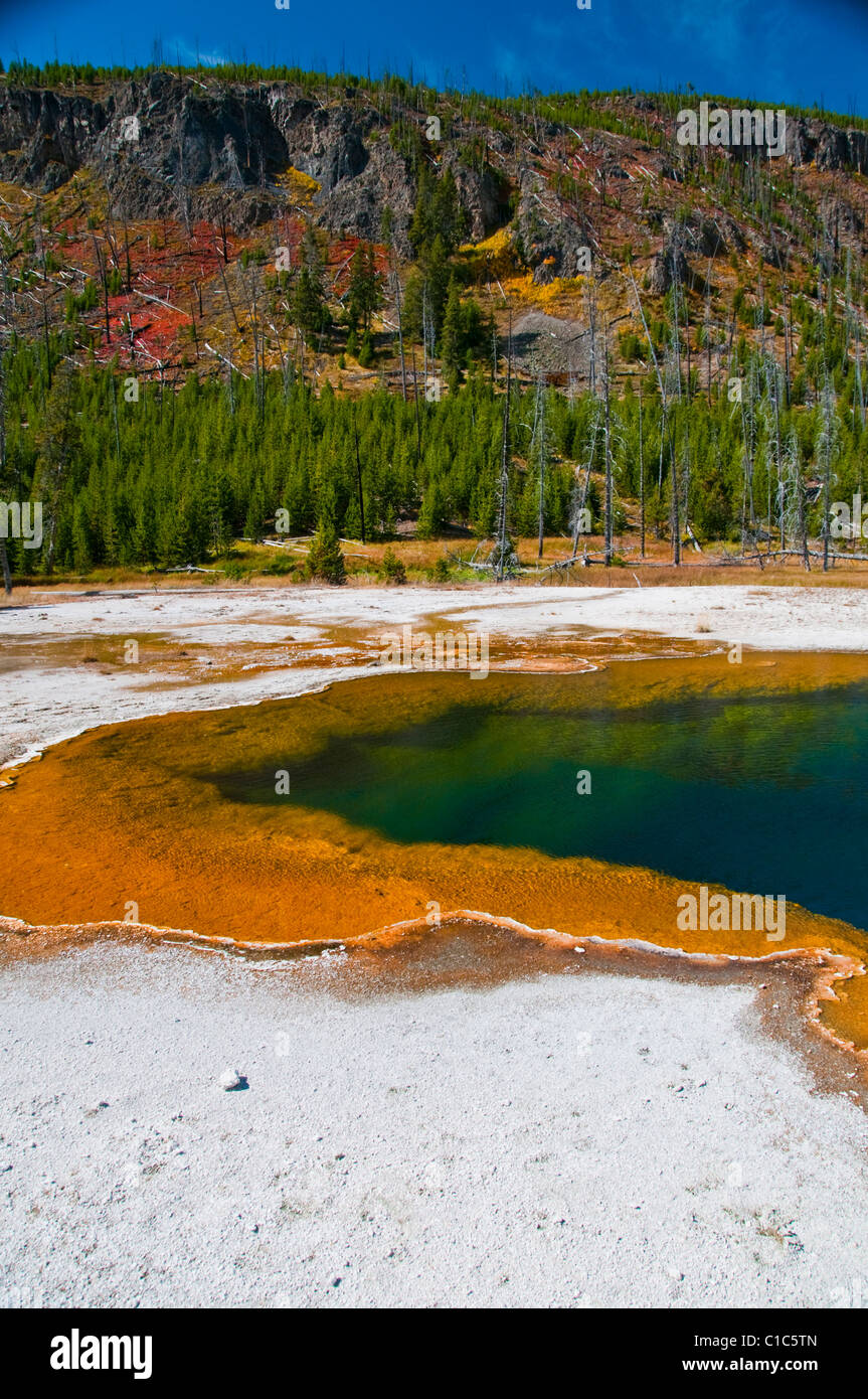 Upper Geyser Basin,Geysers,Autumn Leaves, Sulphurous, Mudpots, Pools ...