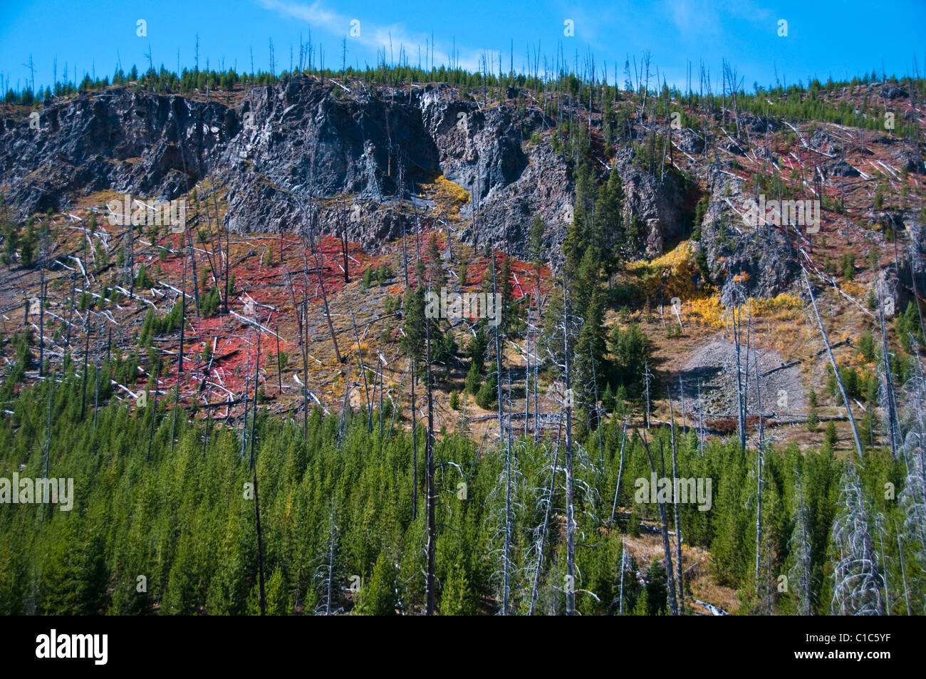 Upper Geyser Basin,Geysers,Autumn Leaves, Sulphurous, Mudpots, Pools ...