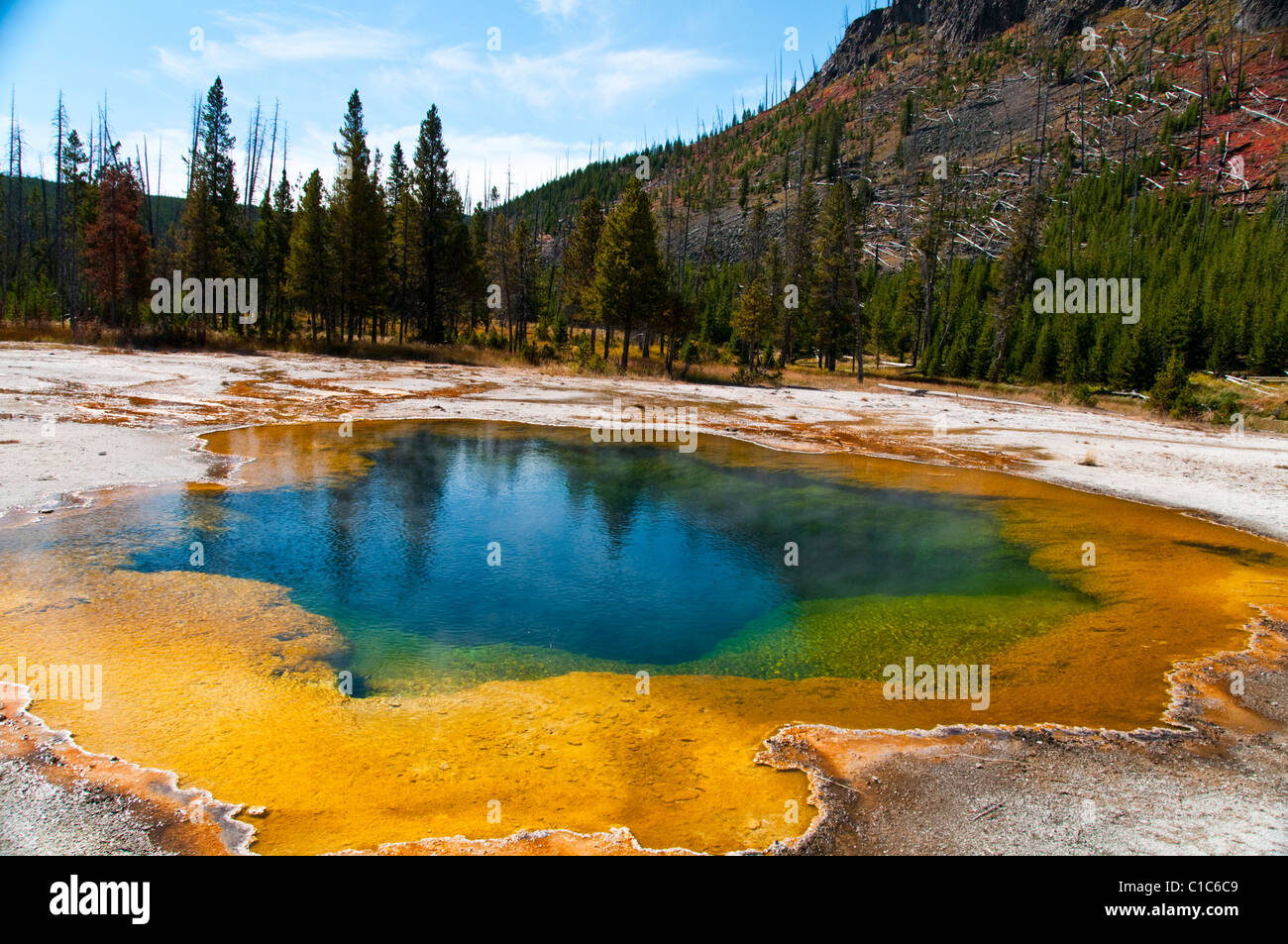 Upper Geyser Basin,Geysers,Autumn Leaves, Sulphurous, Mudpots, Pools ...