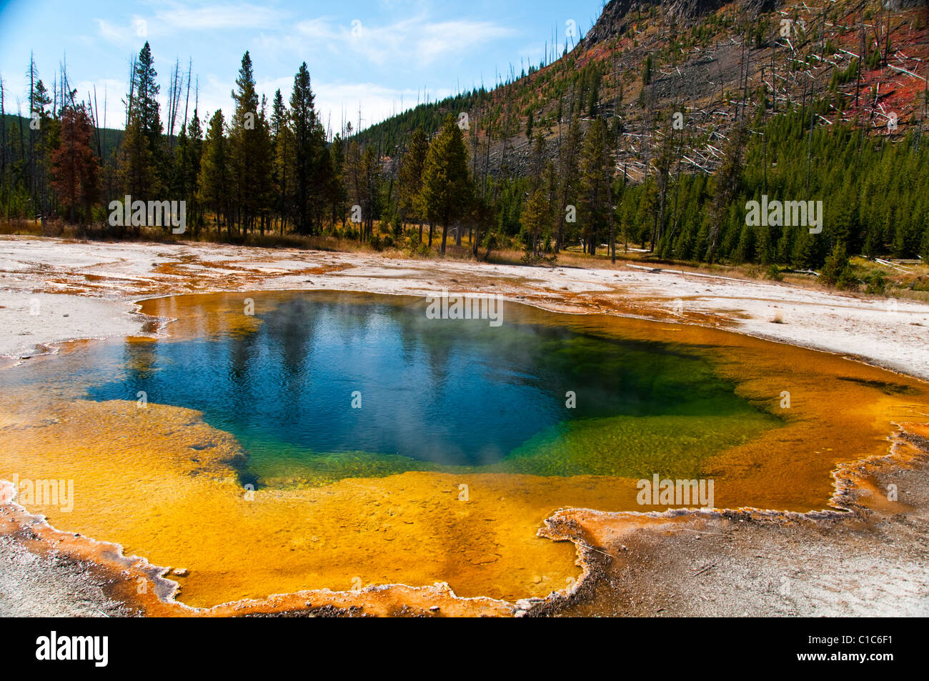 Upper Geyser Basin,Geysers,Autumn Leaves, Sulphurous, Mudpots, Pools ...