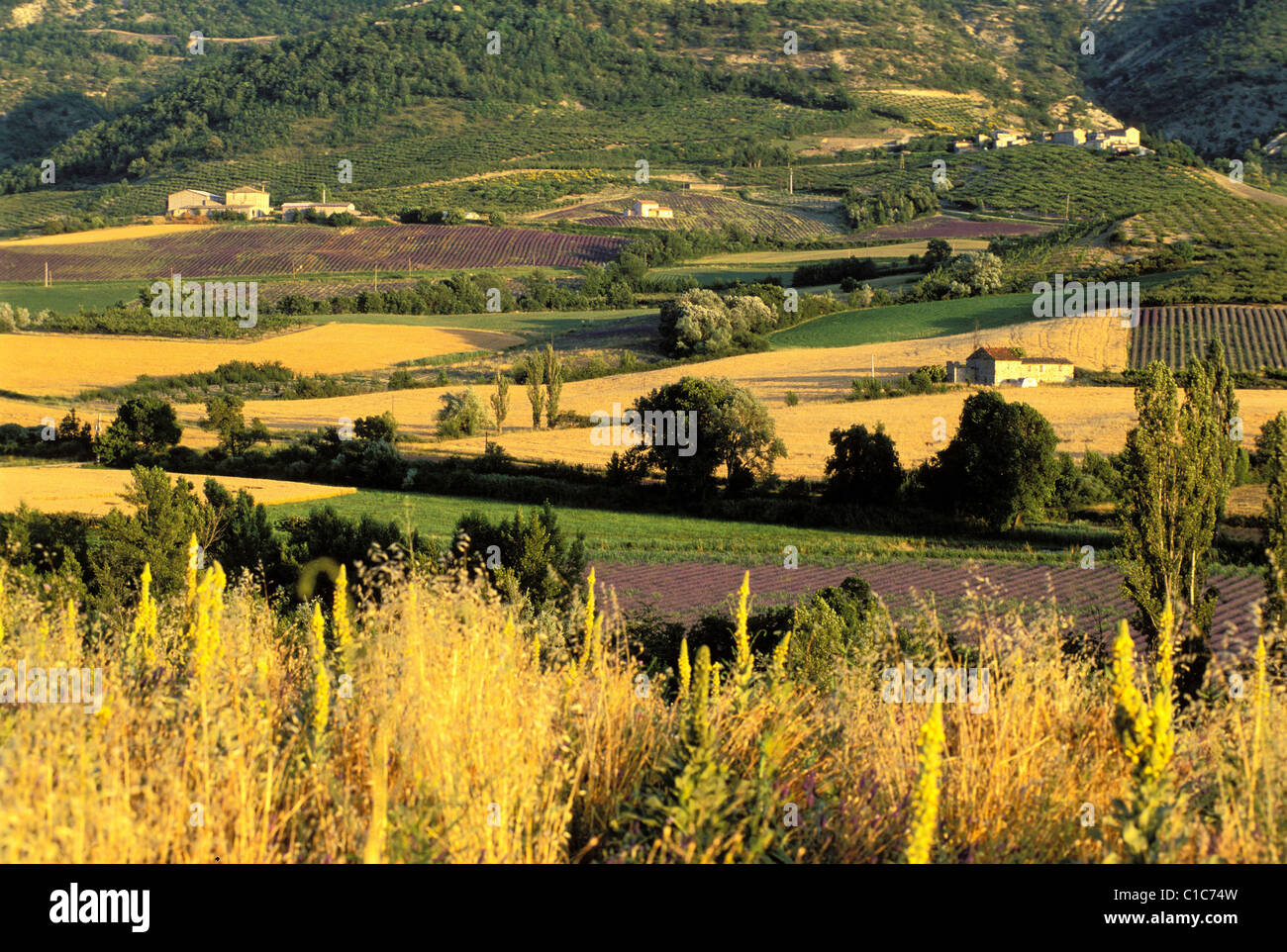 France, Drome, Baronnies region, Ennuye valley Stock Photo - Alamy