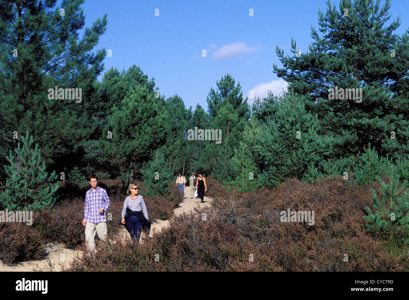 Three cogs hi-res stock photography and images - Alamy