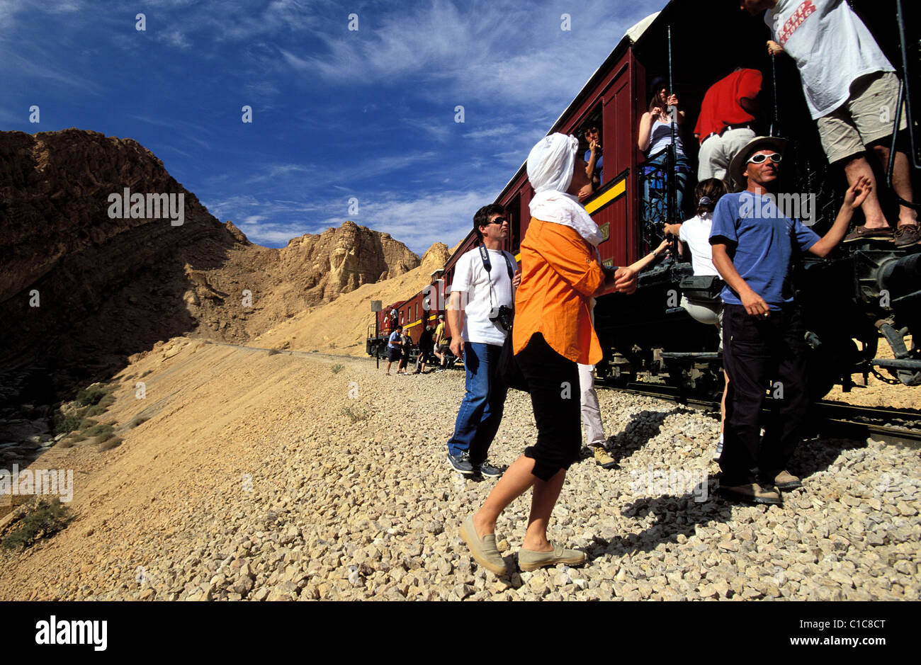 Red lizard tunisia hi-res stock photography and images - Alamy