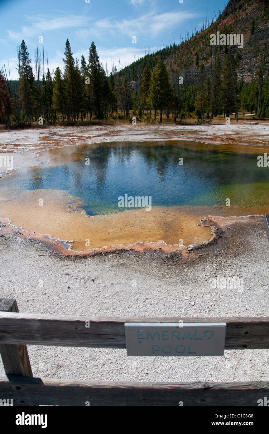 Upper Geyser Basin,Geysers,Autumn Leaves, Sulphurous, Mudpots, Pools ...