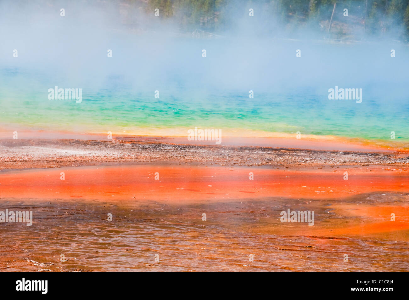 Midway Geyser Basin,Geysers,Grand Prismatic Spring, Sulphurous, Mudpots ...