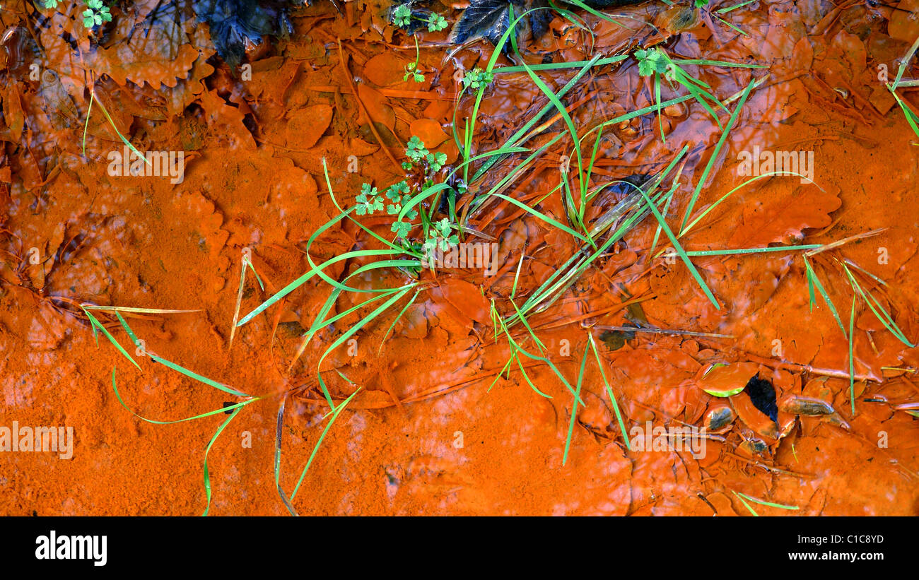 Evidence of acid mine pollution near Dunvant, Swansea, Wales Stock ...