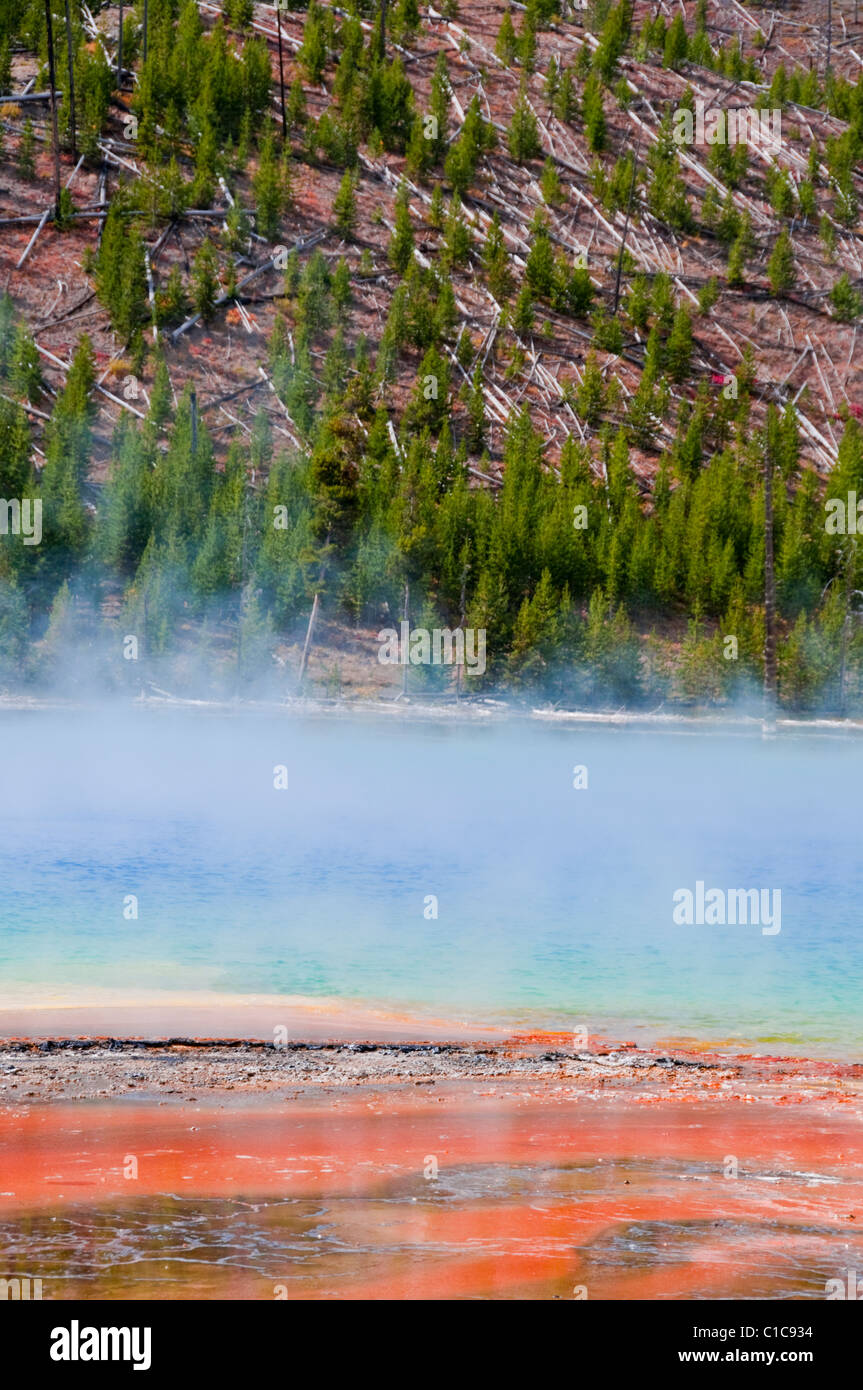 Midway Geyser Basin,Geysers,Grand Prismatic Spring, Sulphurous, Mudpots ...