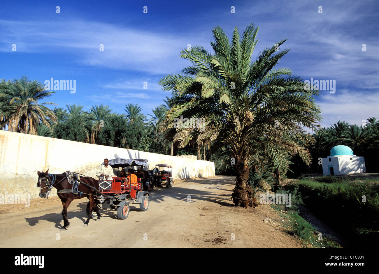 Palmeraie tozeur tozeur tunisia hi-res stock photography and images - Alamy