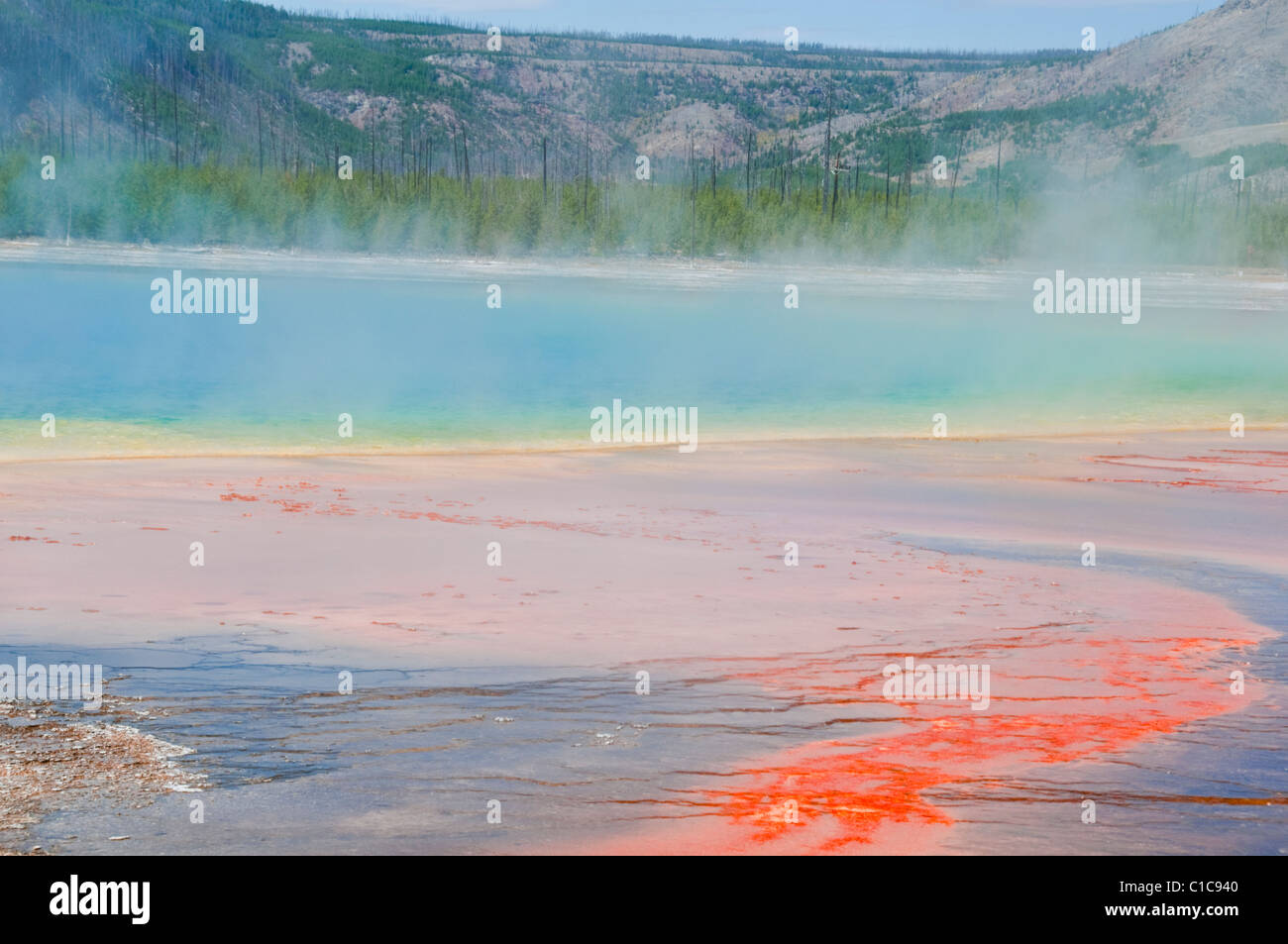Midway Geyser Basin,Geysers,Grand Prismatic Spring, Sulphurous, Mudpots ...