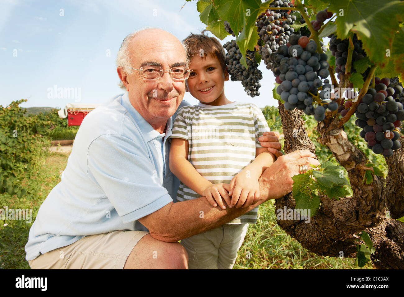 Grandfather and child looking at grapes Stock Photo - Alamy