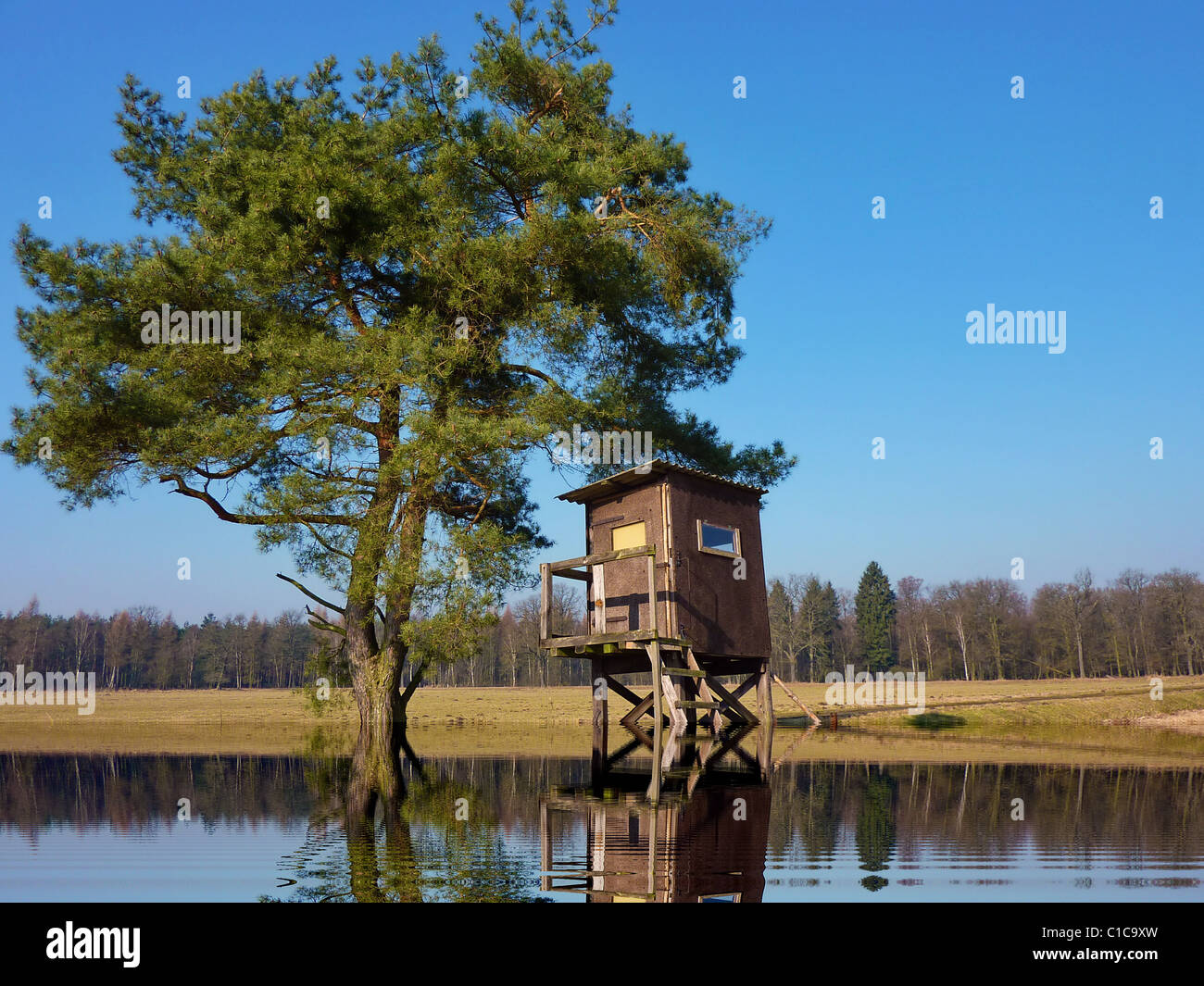 Raised gun hi-res stock photography and images - Alamy