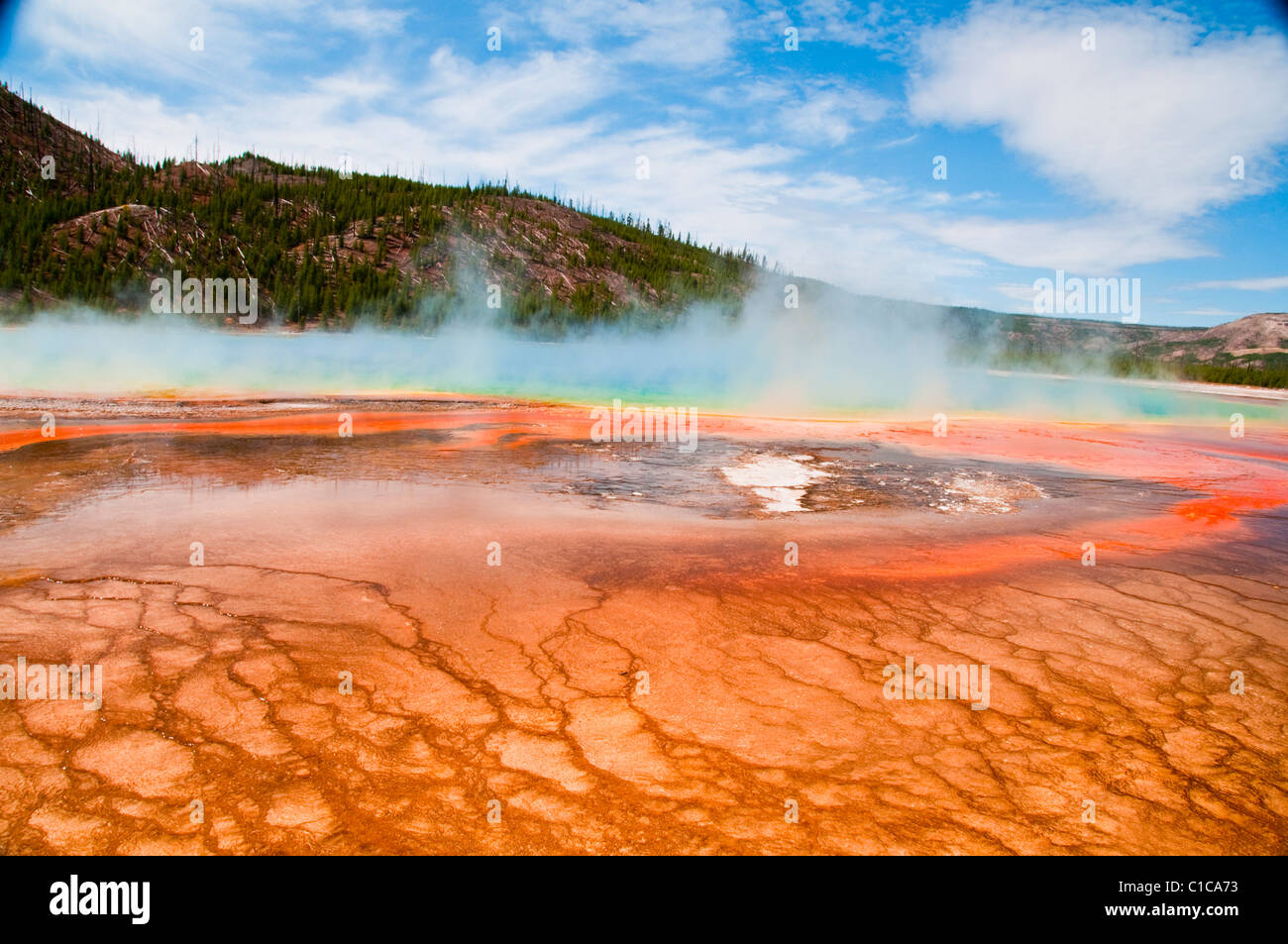 Midway Geyser Basin,Geysers,Grand Prismatic Spring, Sulphurous, Mudpots ...
