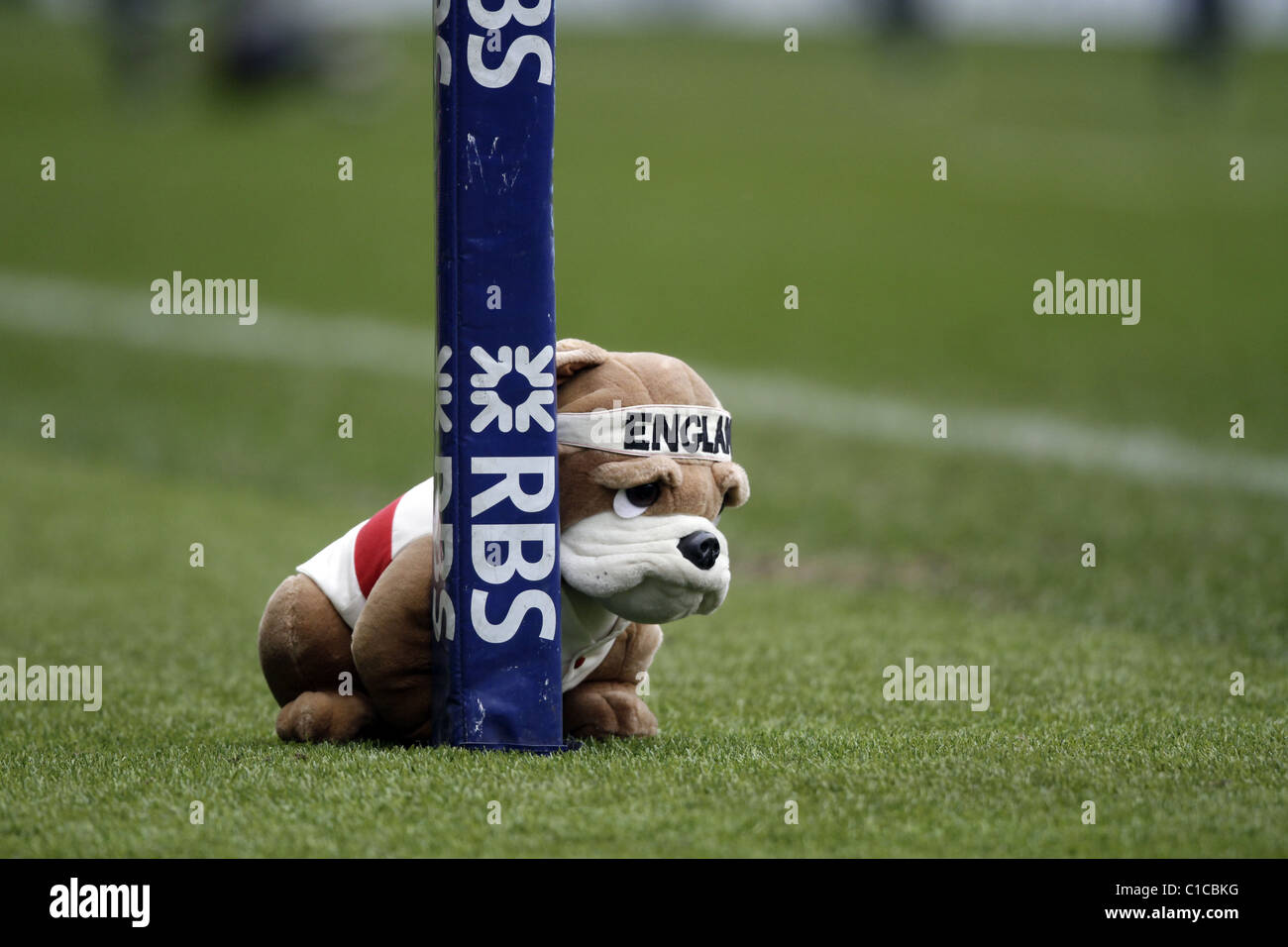ENGLAND BULLDOG MASCOT ENGLAND V SCOTLAND RU ENGLAND V SCOTLAND RU ...