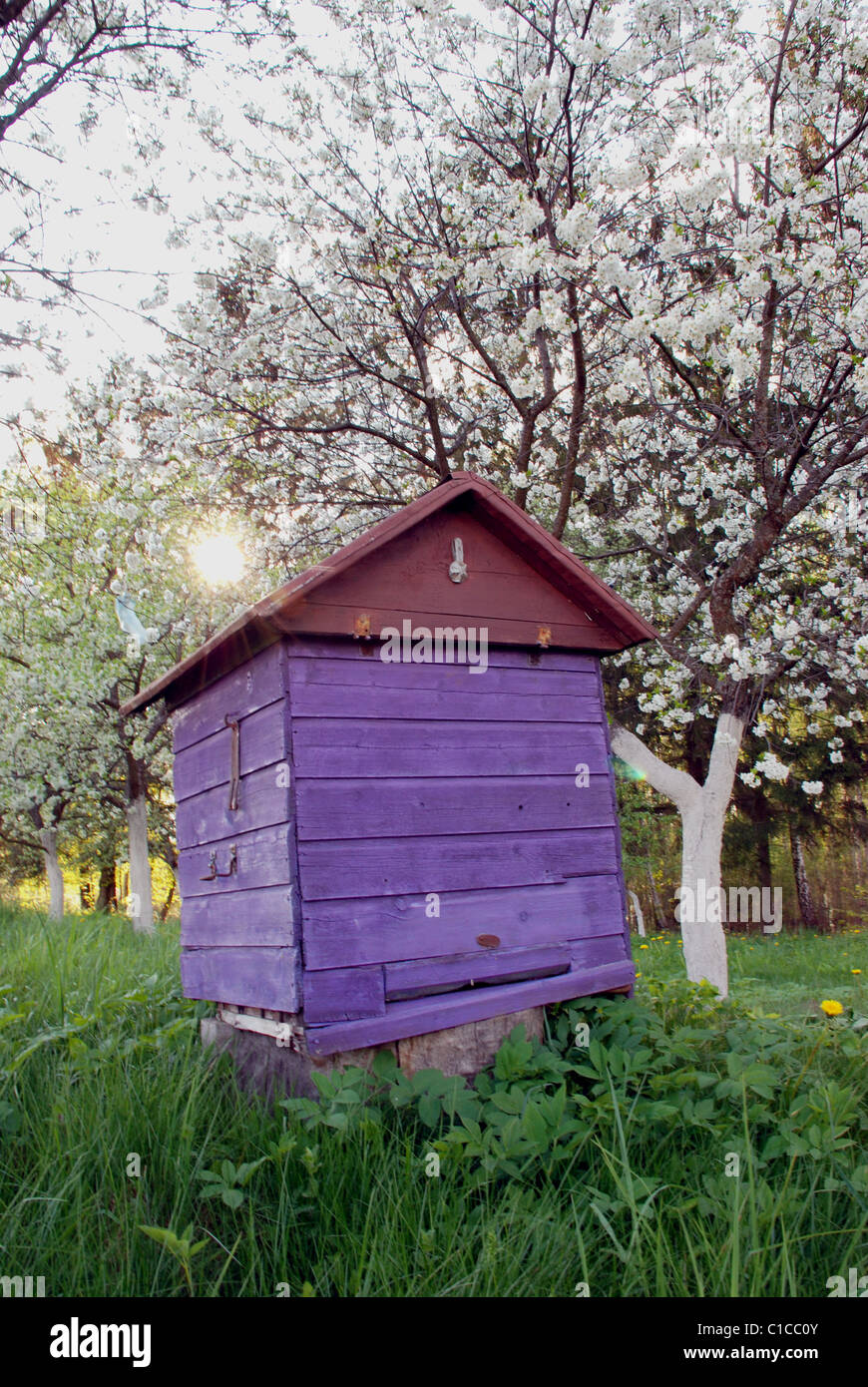 Apian hi-res stock photography and images - Alamy