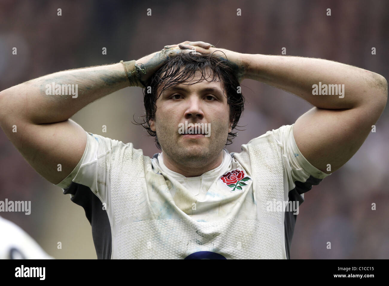 ALEX CORBISIERO ENGLAND NORTHAMPTON SAINTS ENGLAND & NORTHAMPTON SAINTS ...