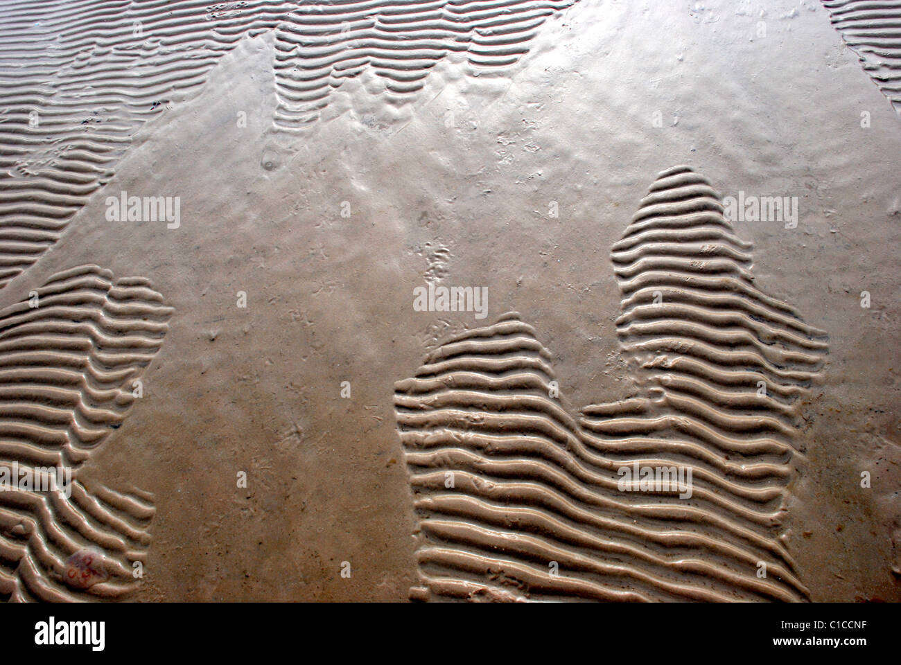 Waves of the sea leave their imprints and on beach sands Stock Photo ...