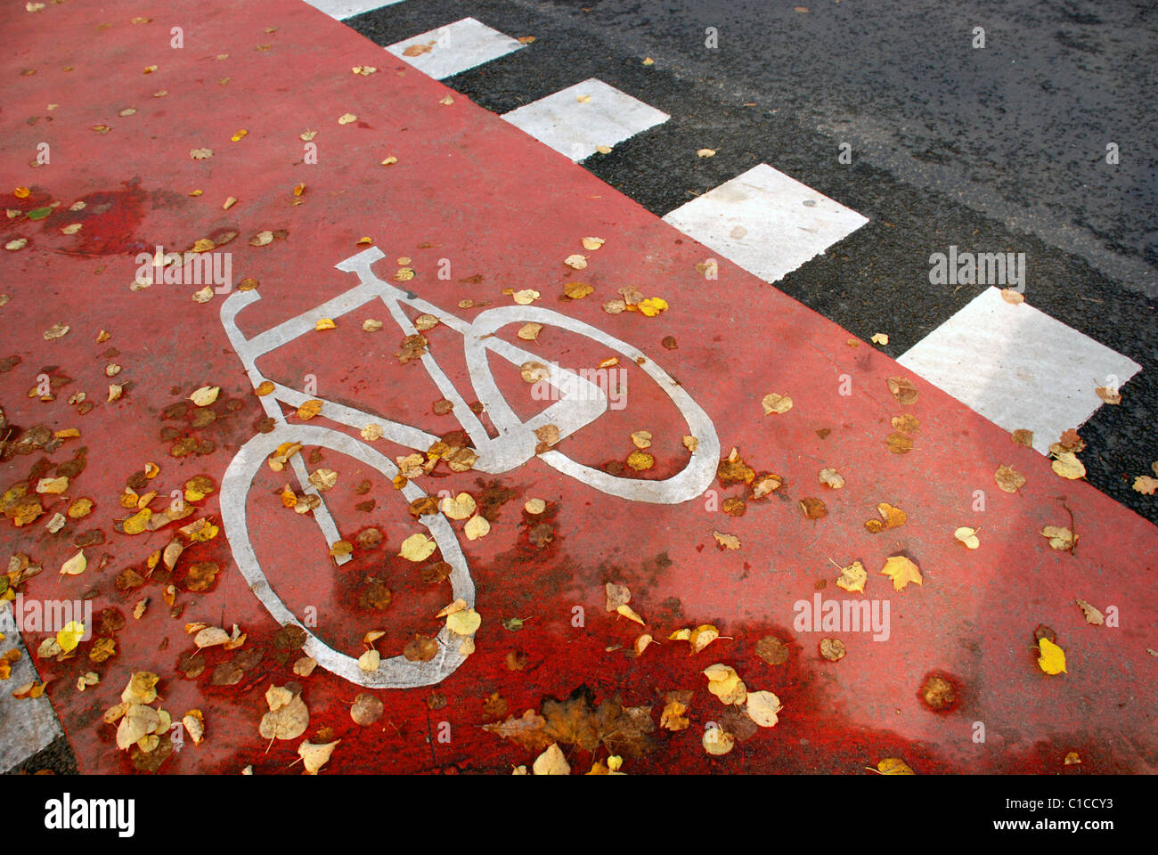 Autumn leaves on a red bicycle path Stock Photo - Alamy
