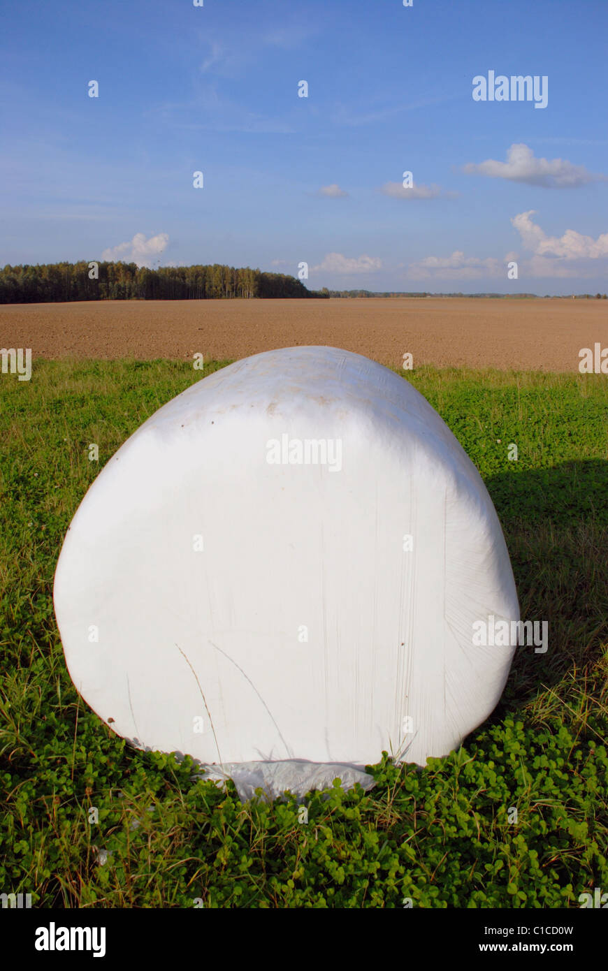 Harvest crop rolls cut farm industry hi-res stock photography and ...
