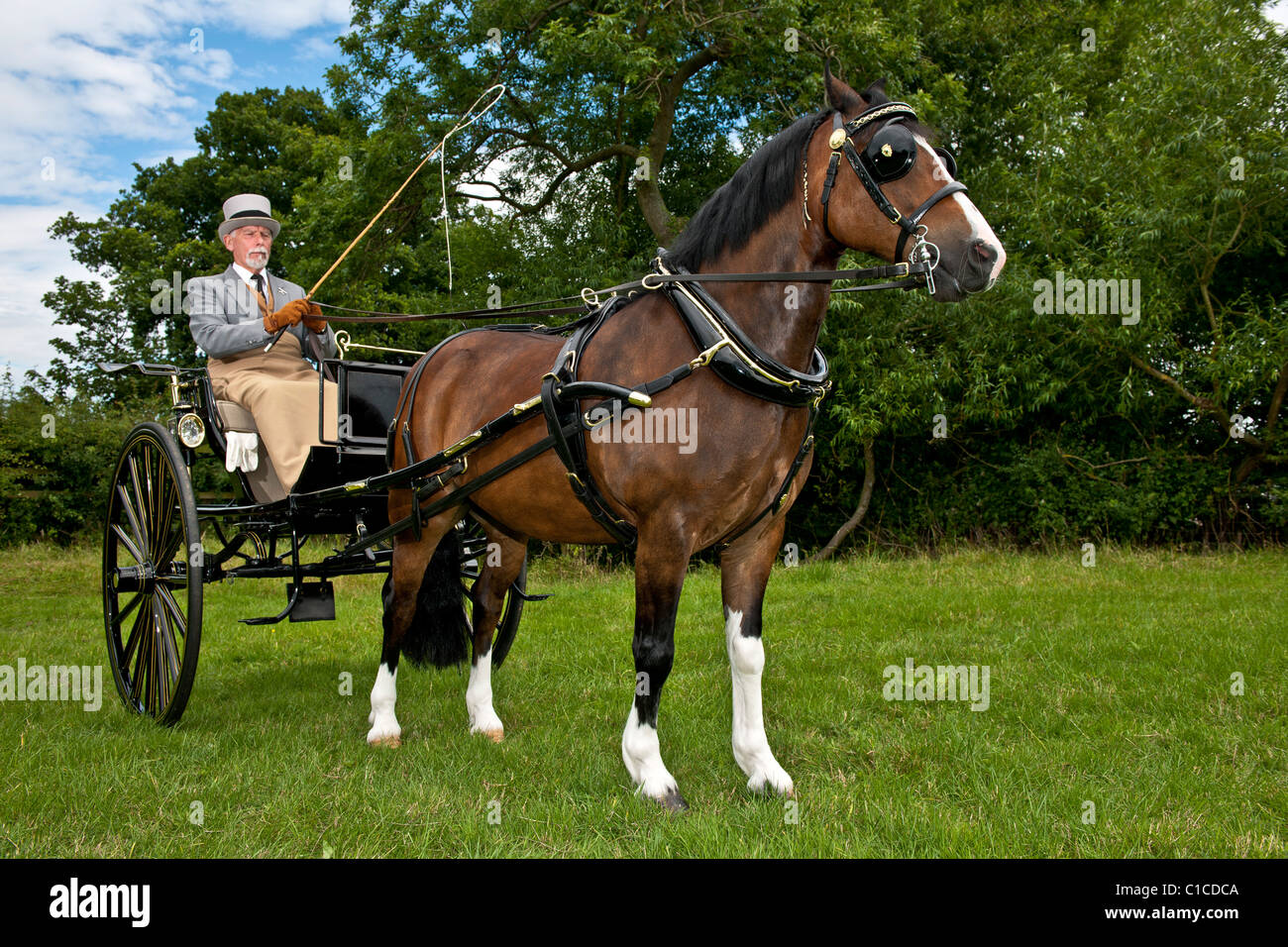 Horse and carriage drivers Stock Photo - Alamy