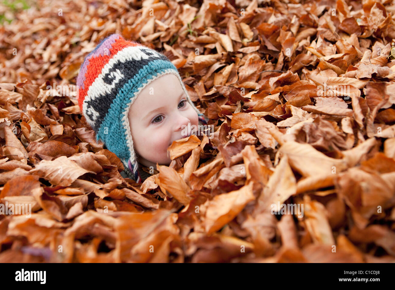 Girl buried in autumn leaves Stock Photo - Alamy