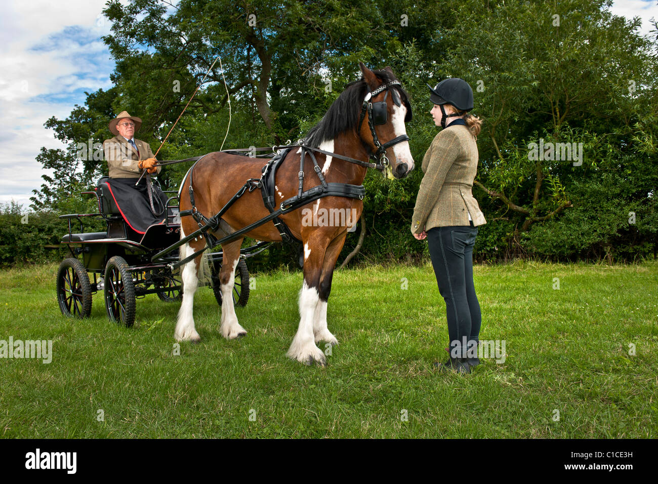 Horse and carriage drivers Stock Photo - Alamy