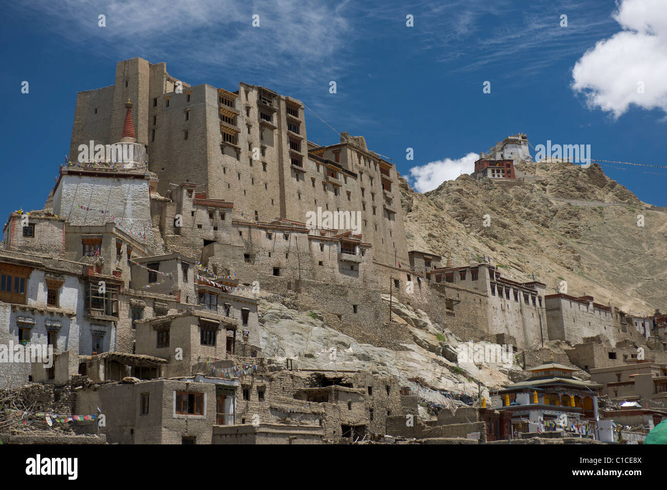 Leh Palace towering over the old town, with the Namgyal Tsemo Gompa ...